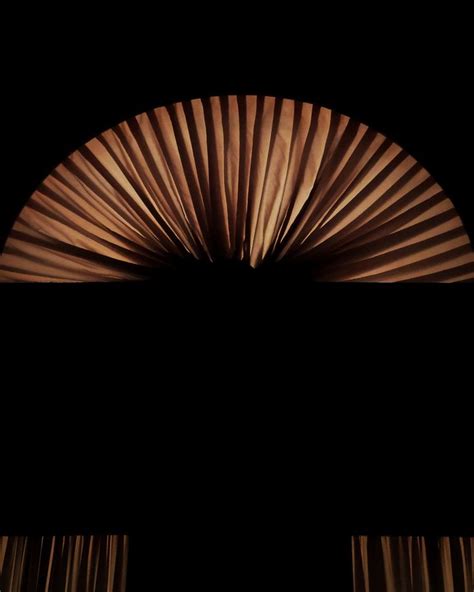 Pin By Tanya Borisyuk On Фотография Home Appliances Hand Fan