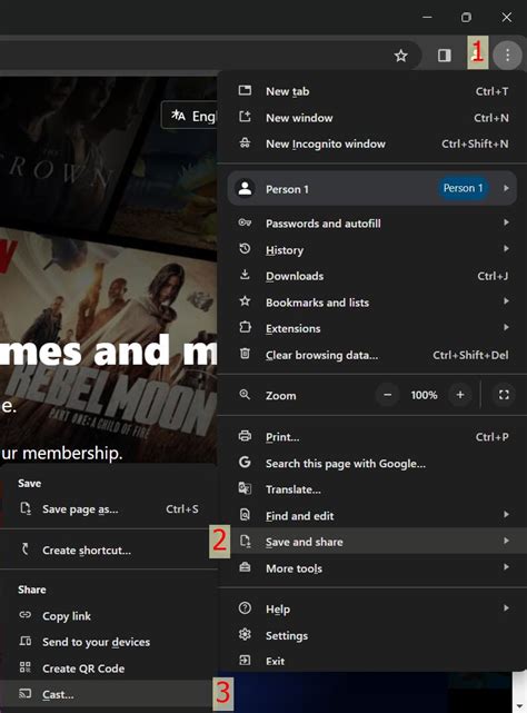 Best Ways To Fix Install Netflix On Your XGIMI Projector PointerClicker
