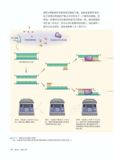 第2节 基因工程的基本操作程序 2019年审定人教版高中生物选修3 中学课本网
