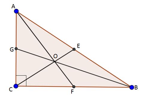 Does A Median Lie Wholly In The Interior Of The Triangle If You Think This Is True Then Draw A