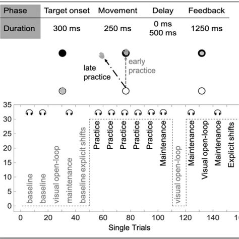 Schematic Representation Of The Experiment Divided Into The Temporal Download Scientific