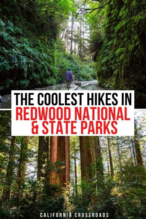 Best Hikes In Redwood National Park 4 Epic Redwood Trails In Northern