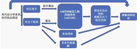 伐尼克兰联合尼古丁贴剂治疗烟草依赖的研究进展