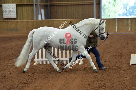 Dc73724 2023 1st Class Images