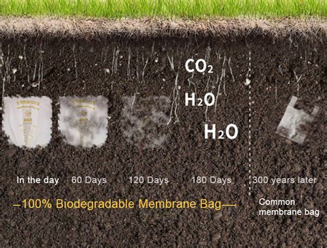 Extruded Commercial Polylactic Acid For Straw From China Manufacturer