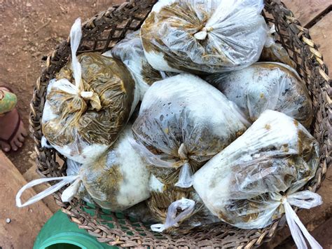 ချင်းလူမျိုး ချင်းလူမျိုး Added A New Photo