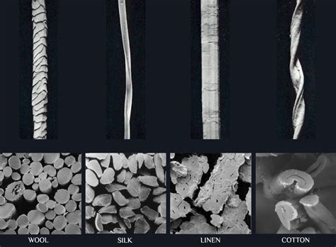 Natural Silk Fibers And Other Natural Fibers Under A Microscope Types