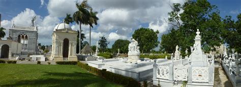 Building A Healthy Organizational Ecosystem Begins With…