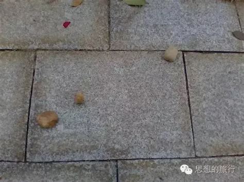 模型是什么？ 知乎