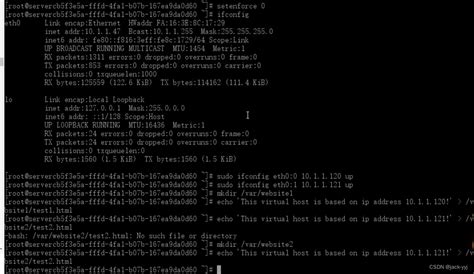 配置安全的linux apache服务器（5） debian搭建apaches服务——ca安全加密 csdn博客