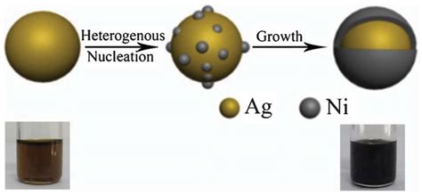 Scheme 1 Synthesis Of Ag Ni Core Shell Magnetic Nanocatalyst Download Scientific Diagram