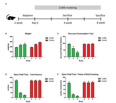 Experimental Schema And Behavioral Results A Schedule Of Download Scientific Diagram