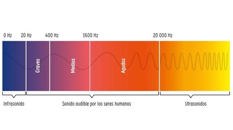 Los Mejores Limpiadores De Ultrasonidos