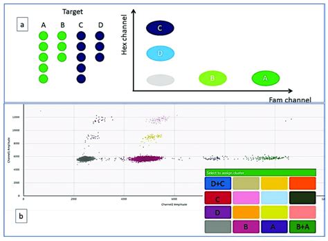Multiplex Assay Based On The Amplitude Of The Amplifiers A The