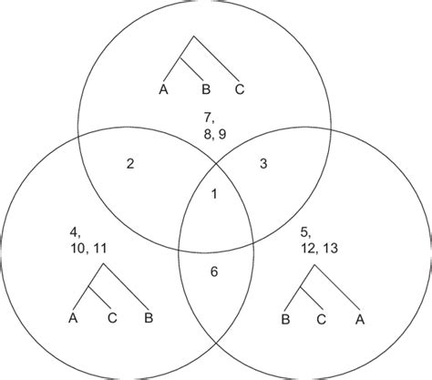 Correspondence Between Matrix Structures And Classifi Cation Download Scientific Diagram