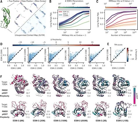 Yoel Ohayon On Linkedin Evolutionary Scale Prediction Of Atomic Level Protein Structure With A…