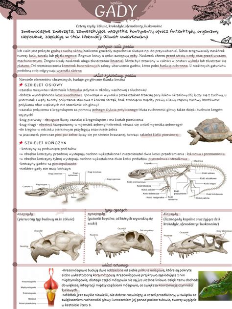 Gady Pdf