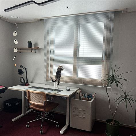 신혼집도 우리답게 취향이 담긴 반셀프 인테리어😌 라이프스타일 슈퍼앱 오늘의집