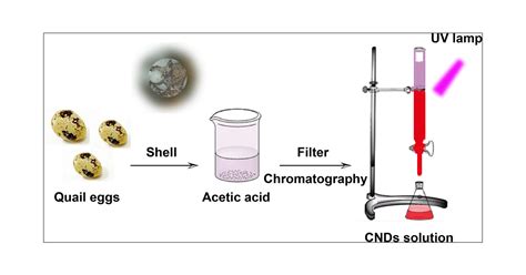 Biosynthesis Of The Narrowband Deep Red Emissive Carbon Nanodots From Eggshells Acs