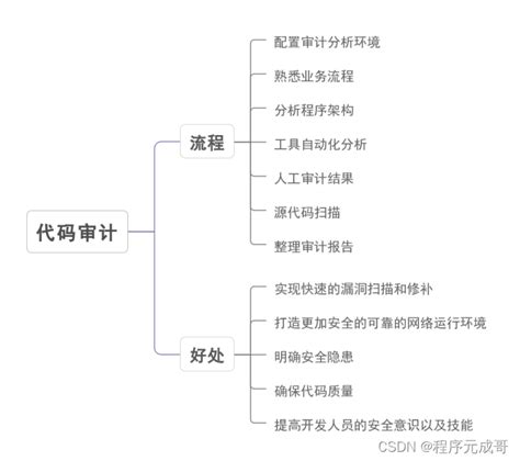 思维导图——代码审计的流程以及好处代码审计流程图 Csdn博客