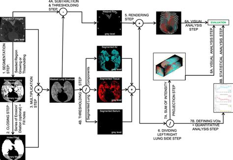 The Presented Quantitative Analysis Methodology Approach Includes Image Download Scientific