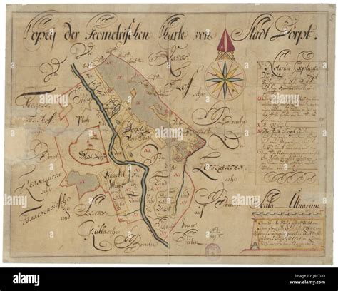 This Title Likely Refers To A Catalog Or Archival Reference Possibly A Scientific Or Historical