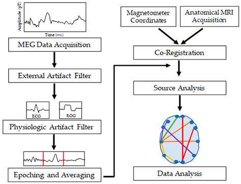 Magnetoencephalography Encyclopedia Mdpi