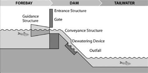 The Basic Components Of A Bypass Structure Shown Is A Surface Oriented