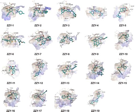 Binding Pattern Of Selected Compounds To Ulk1 Protein Download Scientific Diagram