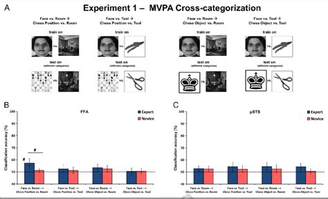 Mvpa Cross Categorization Results In Experiment 1 A Illustration Of