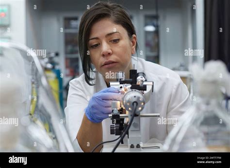 Attractive Female Scientist Testing Using Microscope To Test For Dna Attractive Female Scientist Testing Using Microscope To Test For Dna