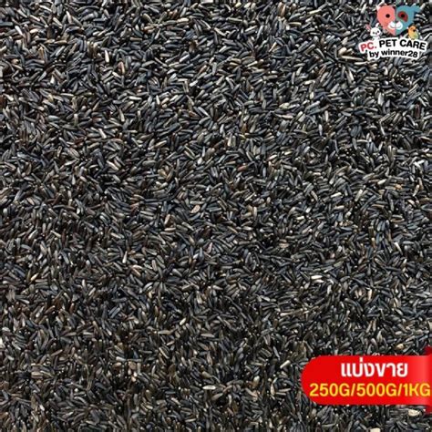 Nyger ไนเจอร์ อาหารนก กระต่าย หนู กระต่าย กระรอก ชูก้า และสัตว์ฟันแทะ