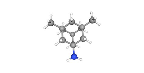 Memantine Hcl Cognitive Support And Neuroprotection