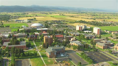 Montana State University Bozeman Videos And Hd Footage Getty Images
