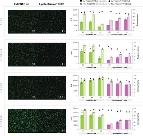 Fugene® 4k Dna Transfection Reagent For Research Get Quote Rfq Price Or Buy