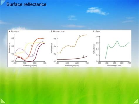 04c Visual Signal Processing Color Vision Ppt