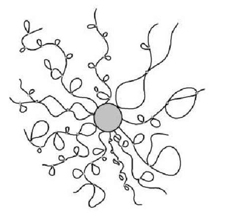 Schematic Representation Of A Block Copolymer Micelle With Small
