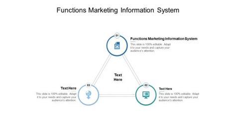 Functions Marketing Information System Ppt Powerpoint Presentation Portfolio Format Ideas Cpb