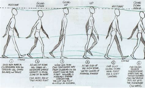 Walking Animation Animation Sketches Learn Animation
