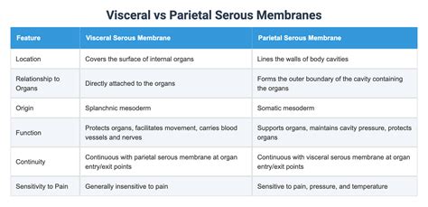 Visceral Vs Parietal Serous Membranes