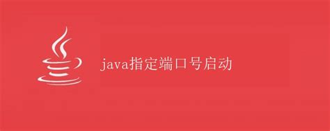 Java指定端口号启动极客教程