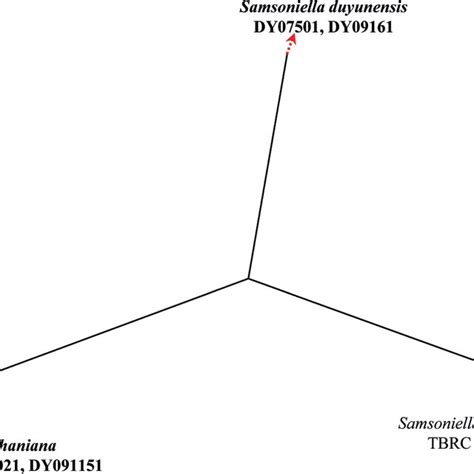 Results Of The Pairwise Homoplasy Index Phi Test Of Closely Related Download Scientific