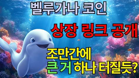 벨루가나 코인 벨루가나 뿐만이 아닐꺼 같아요 Youtube