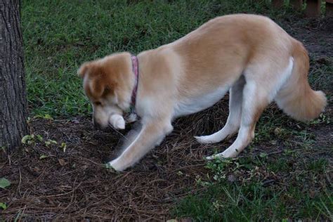 15 Sex Euphemisms Youve Never Heard Of