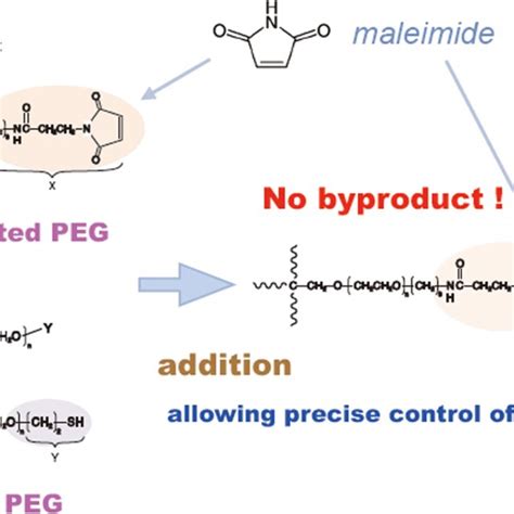 Sans Intensity Profiles Of Tetra Peg Gels With A Mw 10 K And B Download Scientific