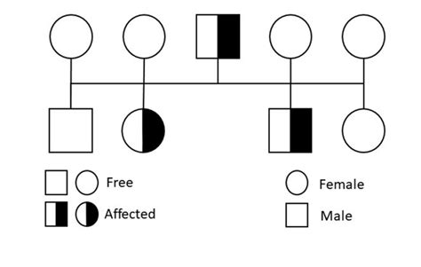Unl Contributes To The Identification Of New Genetic Defects In Cattle