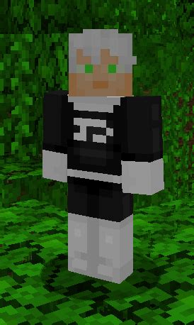 Phantom Accessories Gallery Minecraft Mods CurseForge