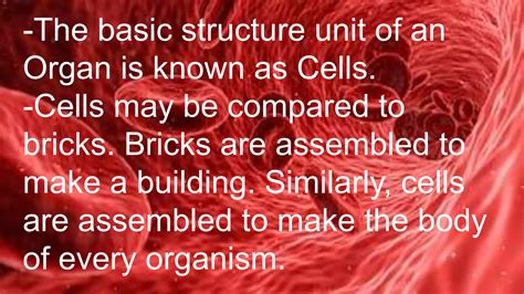 Chapter Cells Structure And Functions Class Science PDF