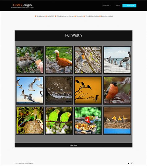 Grid FX Best WordPress Grid Plugin InkThemes