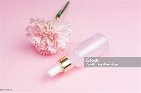 드롭퍼 유리 병 모형 대변 트리트먼트 와 스파 천연 미용 제품 뷰티 세럼 스킨 케어 블랭크 병 카네이션 플라워가 있는 핑크 배경 0명에 대한 스톡 사진 및 기타 이미지